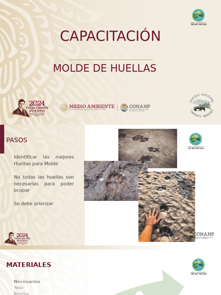Huellas y Toma Molde | PDF