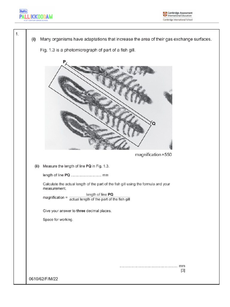 Biology Exam Past Papers and Diagrams | PDF