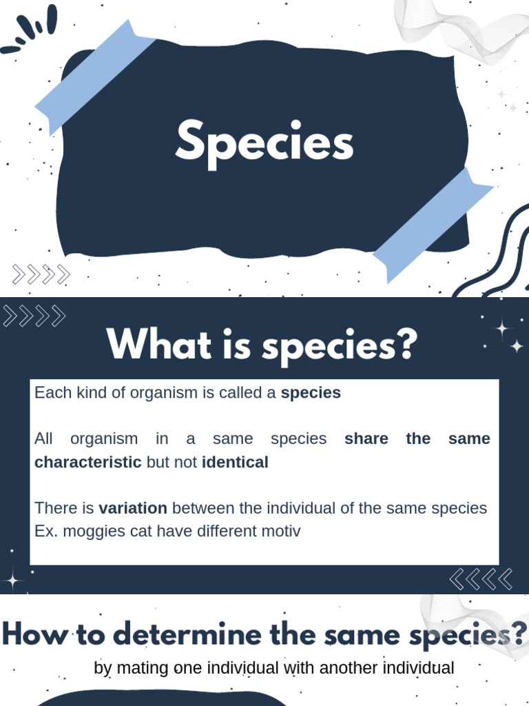 Biolgy Grouping & Identifying (Species & Keys) | PDF