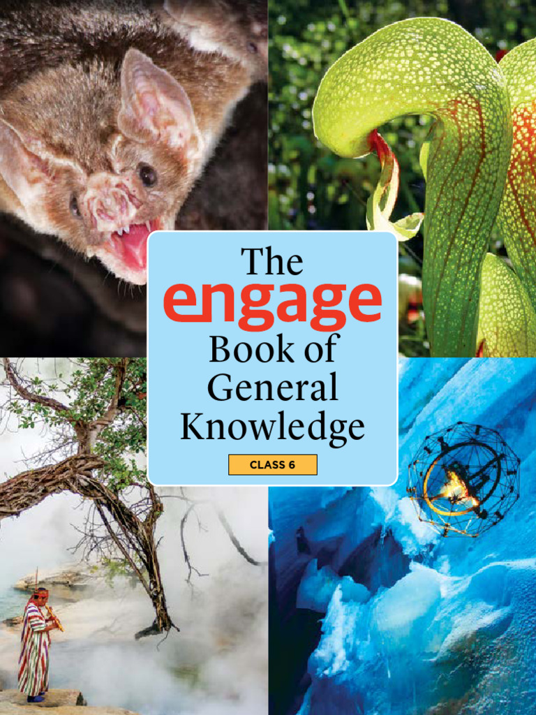 General Knowledge - Class 6 | PDF