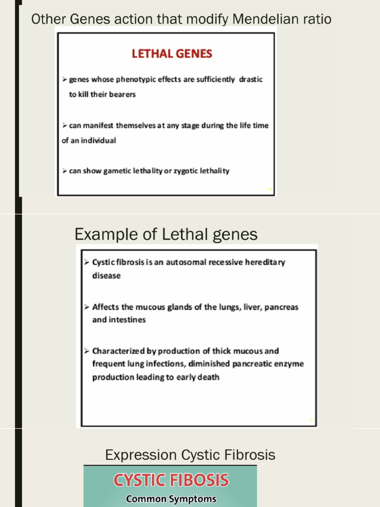 Basic Genetics Notes Lecture8 | PDF