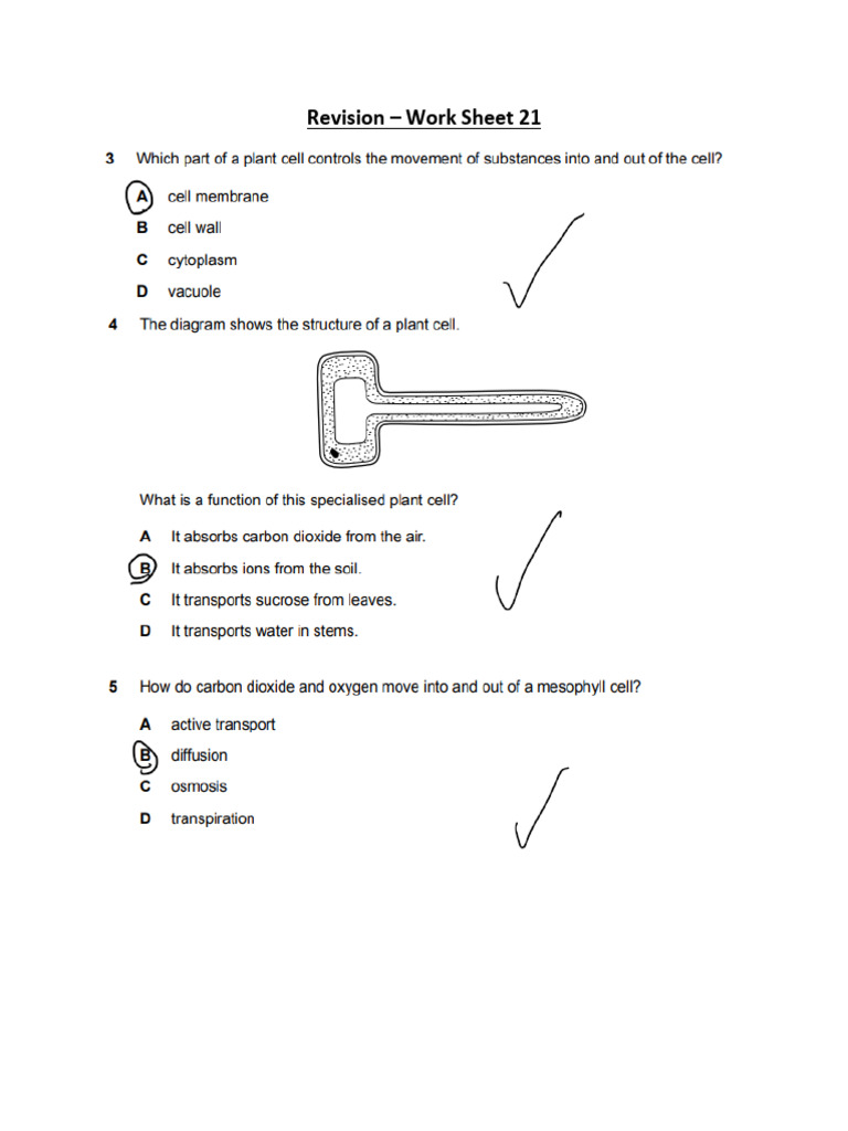 Revision - Work Sheet 21 | PDF