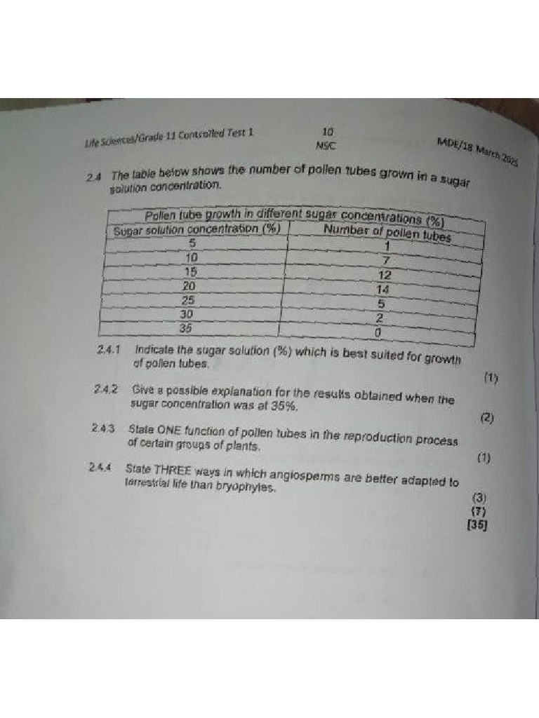 Image To PDF 20250319 17.59.42 | PDF