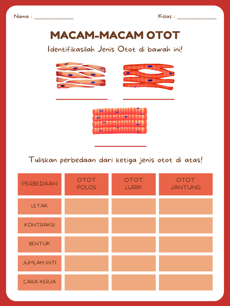 Lembar Kerja IPA Macam Otot | PDF