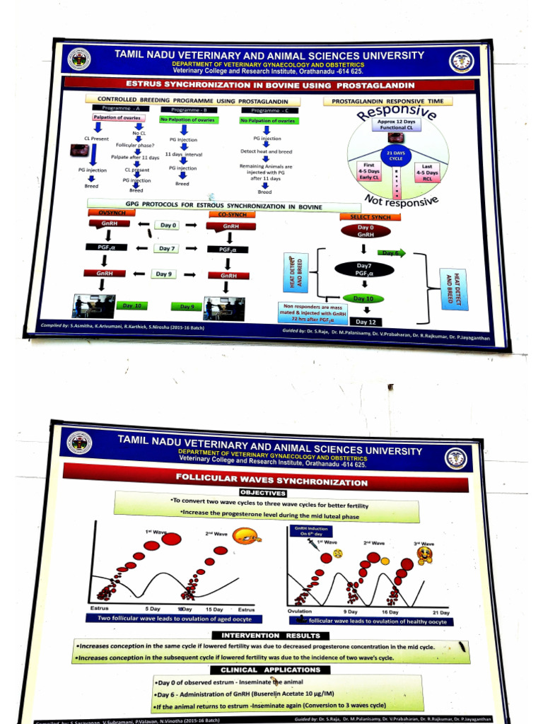 OG Charts | PDF