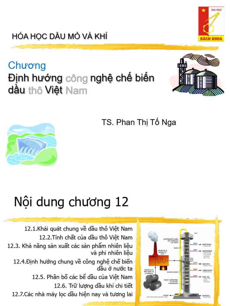 Chuong 12. Dac Diem Dau Tho VN | PDF