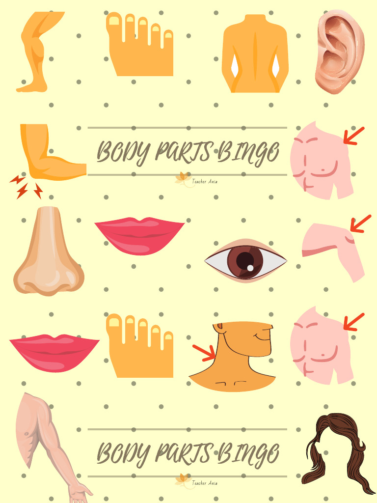 Bingo Body Parts 1 | PDF