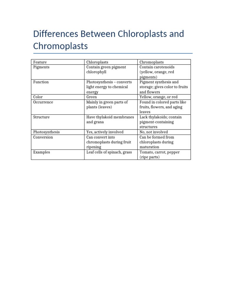 Chloroplast vs. Chromoplast Explained | PDF