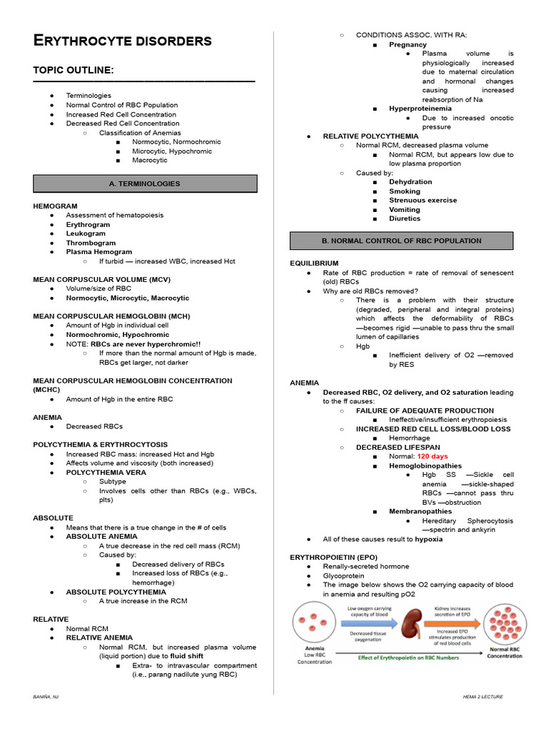 HEMA LEC - ERYTHROCYTE DISORDERS (DISCUSSION) - v2 | PDF | Anemia | Red ...