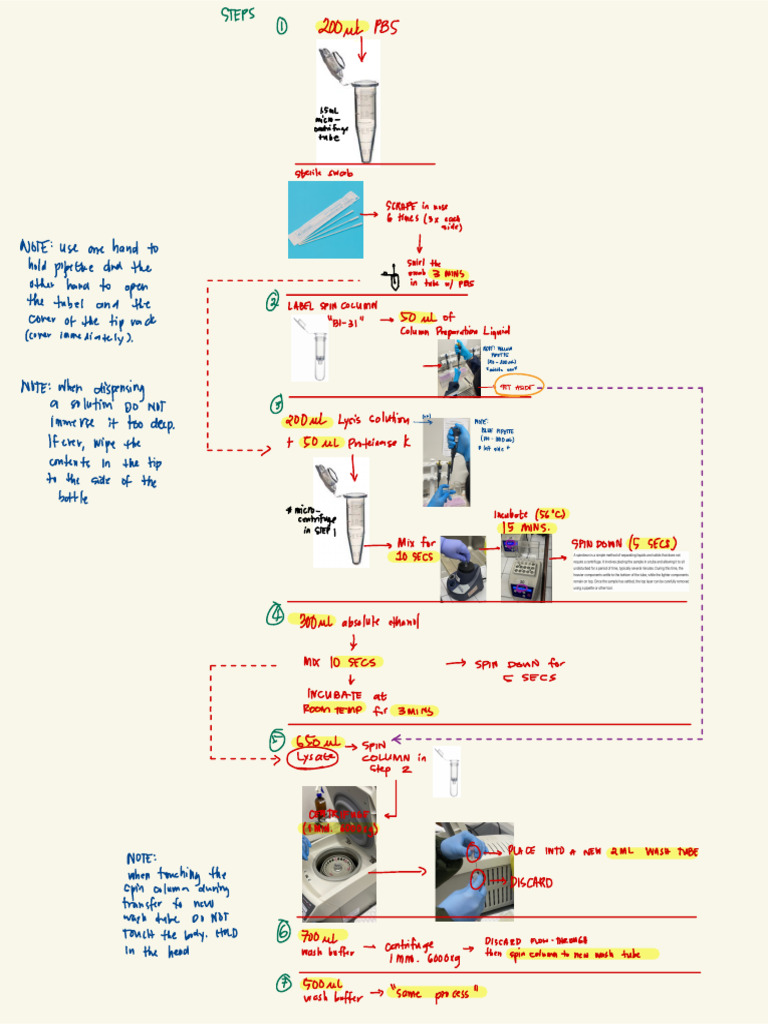 Nucleic Acid Extraction Flowchart (Indiv) | PDF
