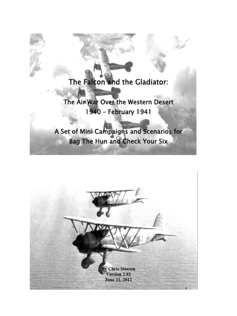 The Falcon and The Gladiator | PDF | Anti Aircraft Warfare | Bomber