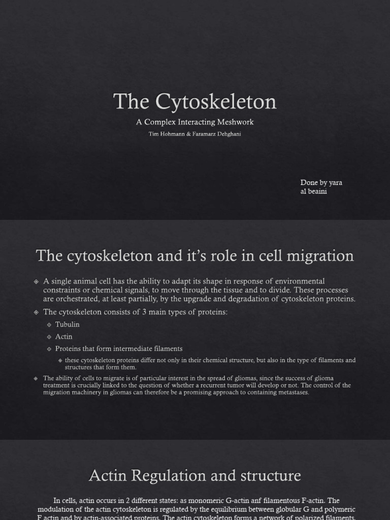The Cytoskeleton | PDF