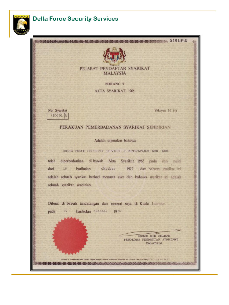 Delta Force Security Services | PDF