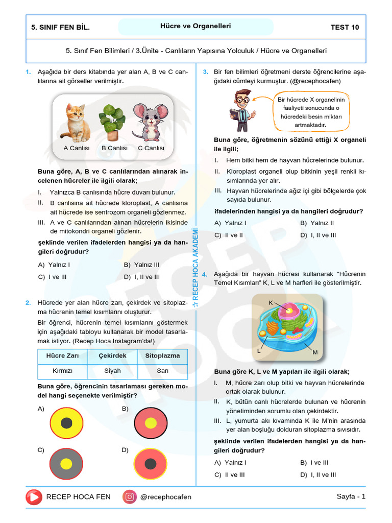 5 Fen 3.1.1 Recep Hoca | PDF