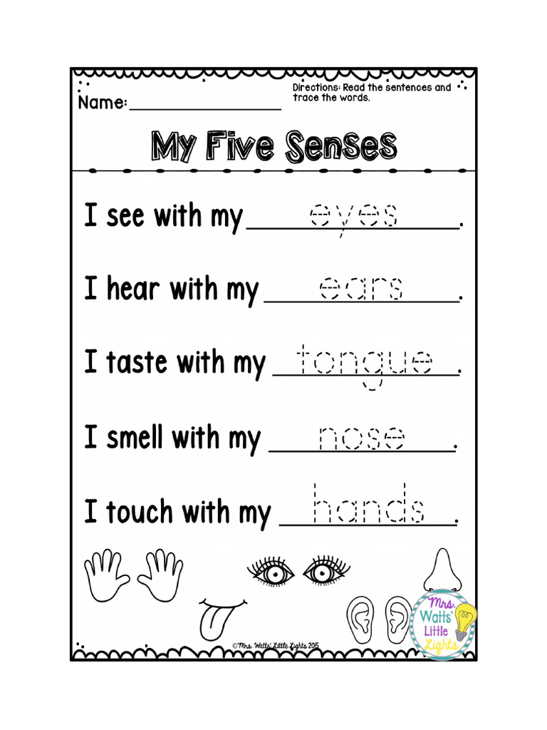Five Senses | PDF