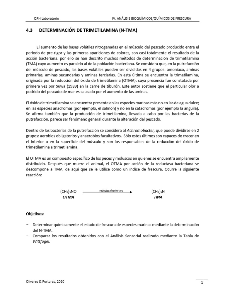 Lab 12. Determinacion de N-TMA | PDF | Las bacterias | Amina