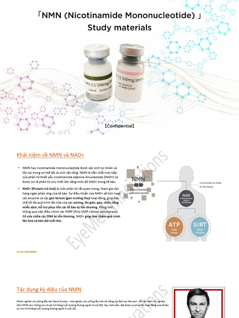 NMN Presentation Final | PDF