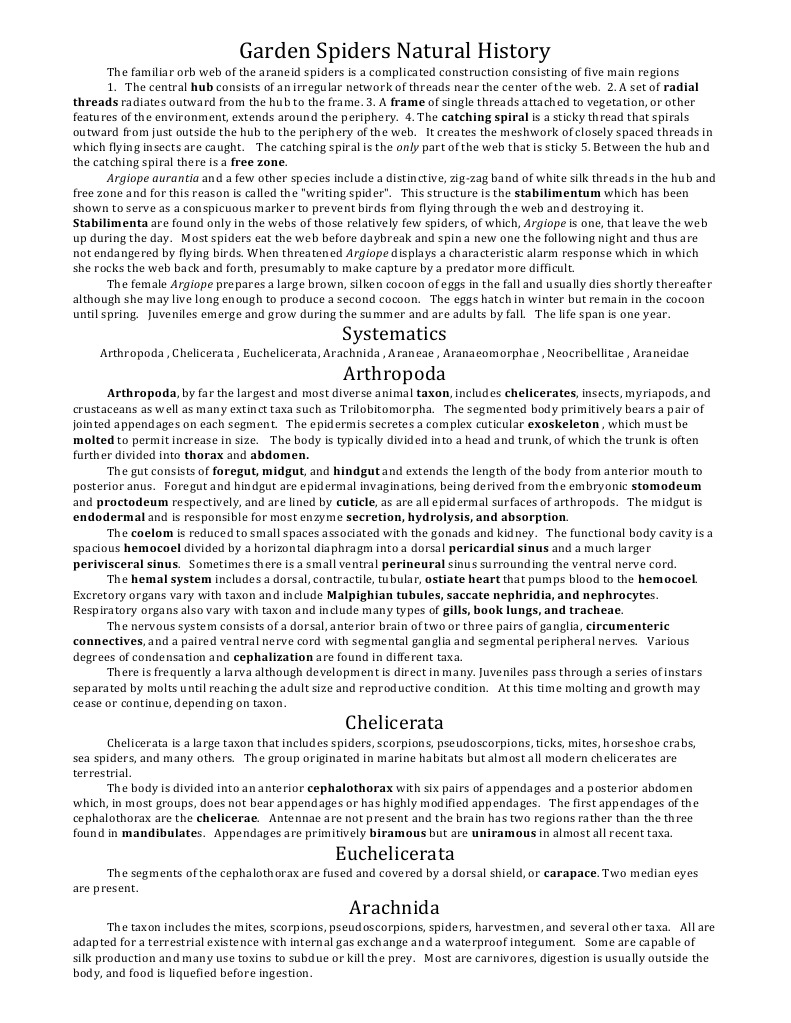Garden Spiders Dissection | PDF | Spider | Spider Web