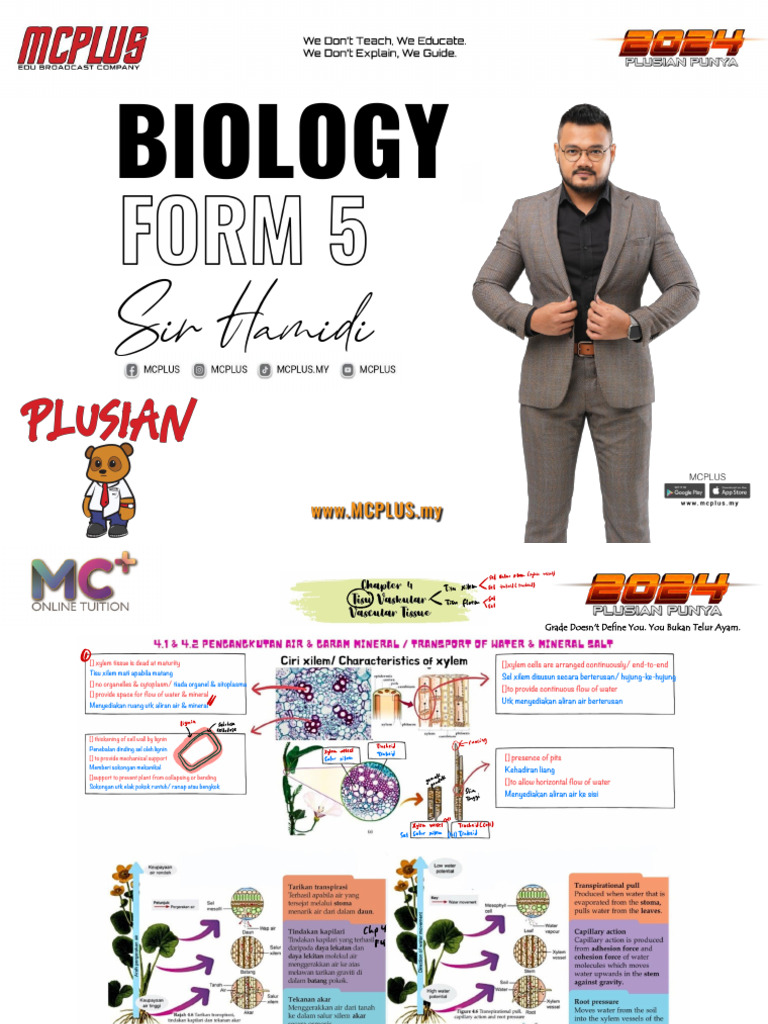 F5 Bio CHP 4 2024 A - Hamidi Yusoff | PDF | Plant Morphology | Plants