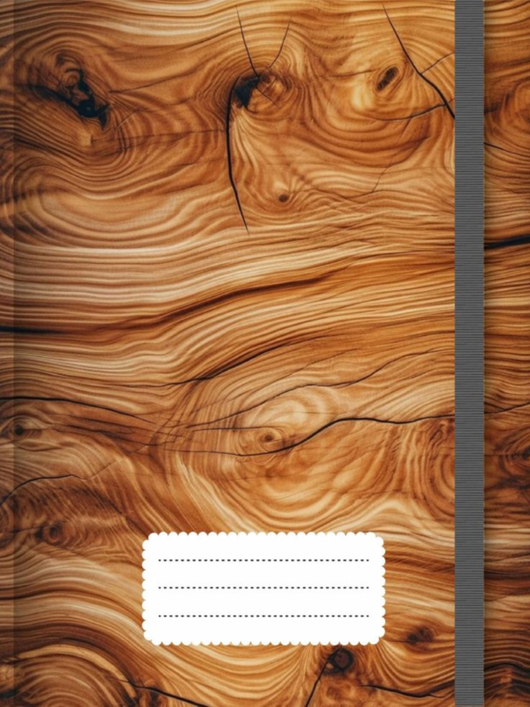MyNoteBookCover1 3 | PDF