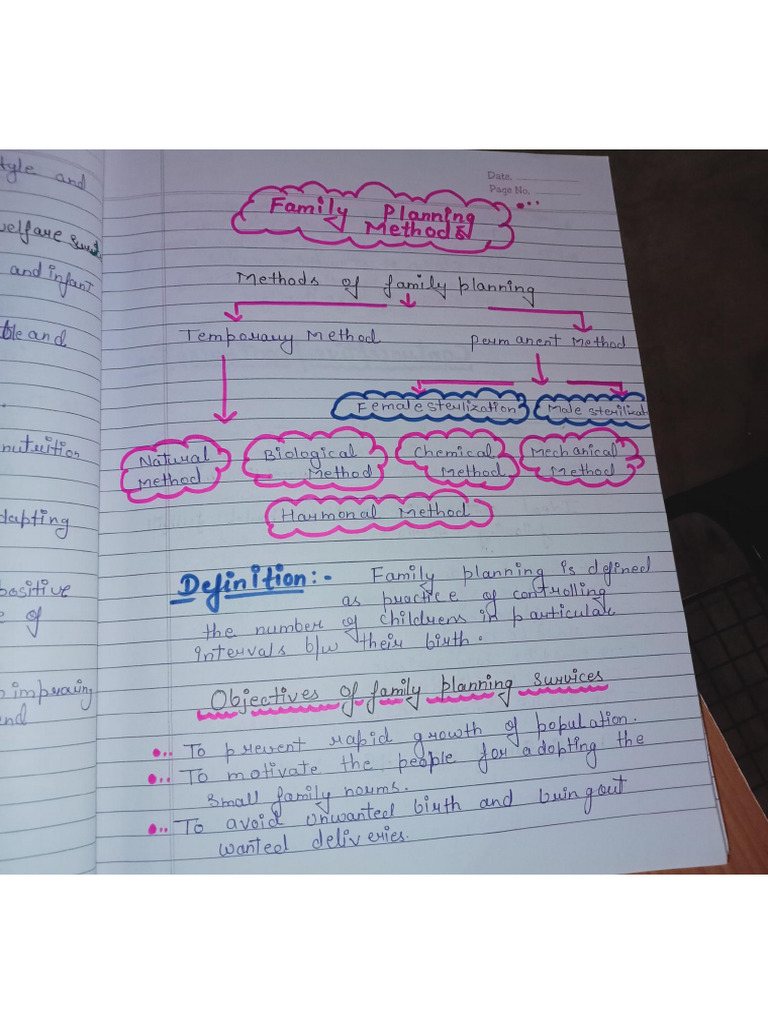 CHN II Family Planning | PDF