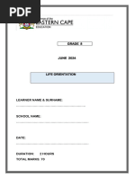 Technology Grade 8 Term 3 Pat 2 2024 Revised | PDF | Mining | Ore