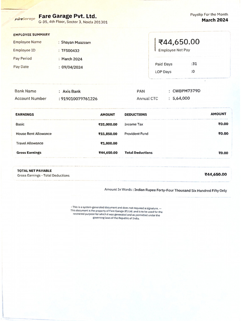 Shayan Salary Slip | PDF