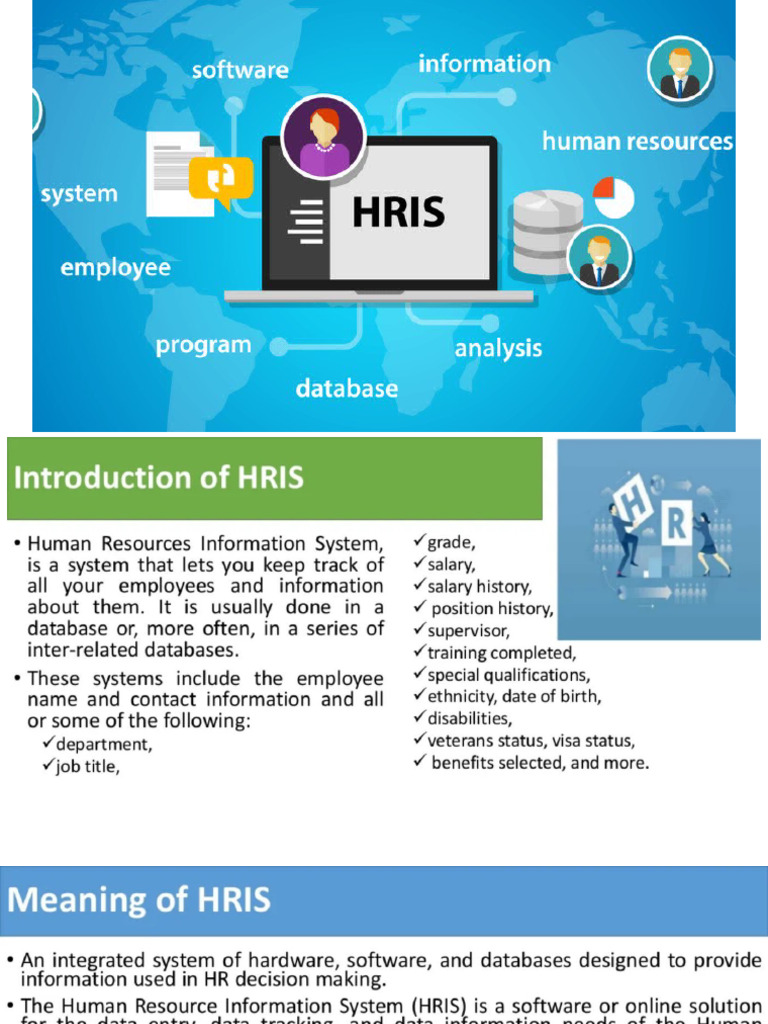 HRIS & E-HRM | PDF