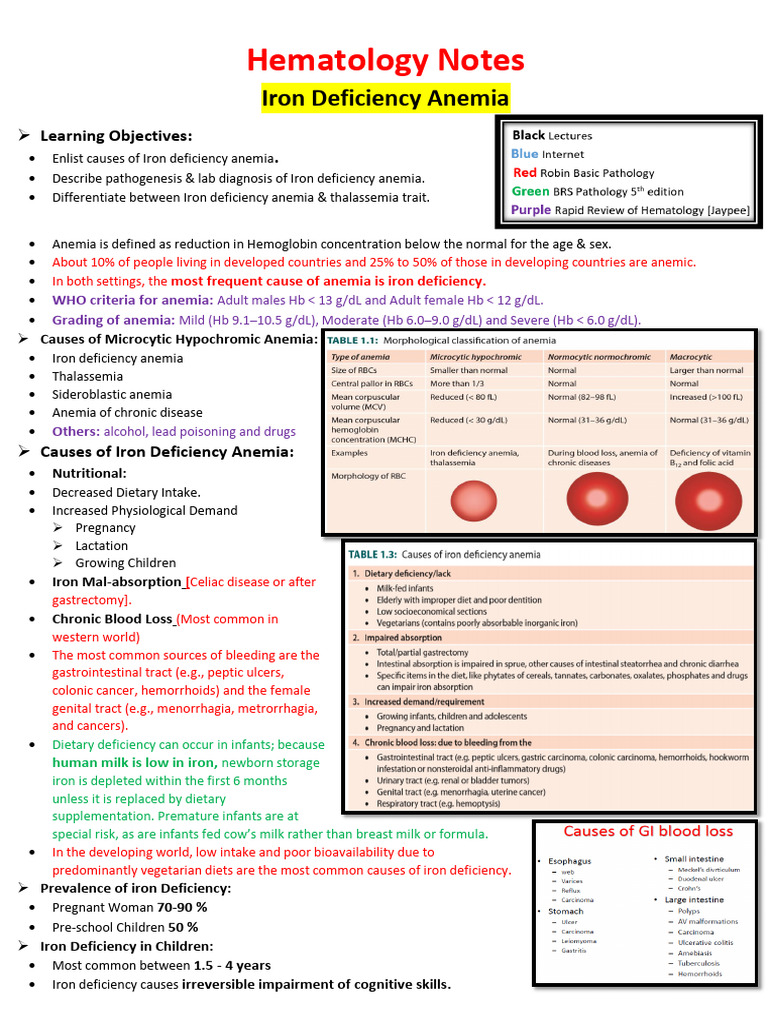 Hematology Notes | PDF | Anemia | Vitamin B12