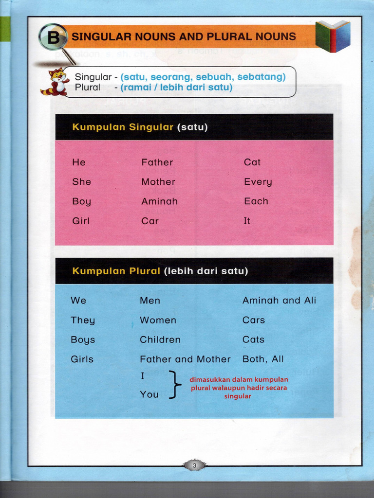 English Singular and Plural Nouns | PDF