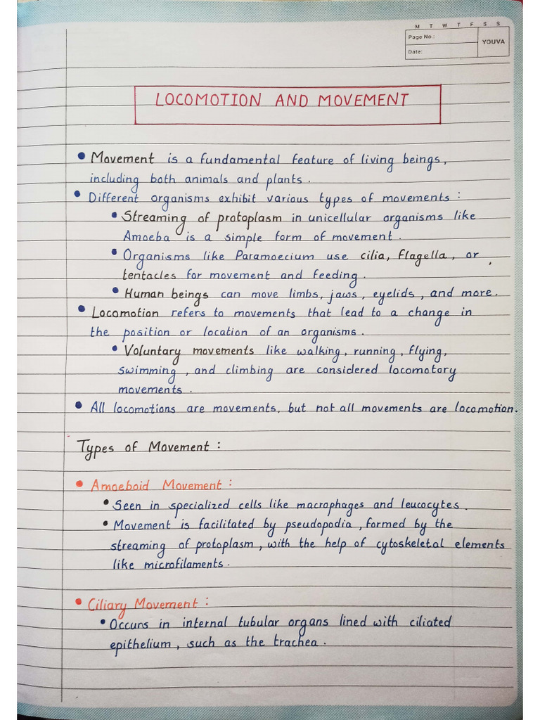 Locomotion and Movement | PDF
