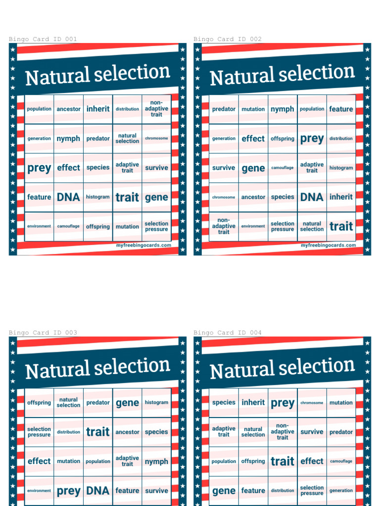 Natural Selection Bingo-3-17 | PDF | Natural Selection | Gene