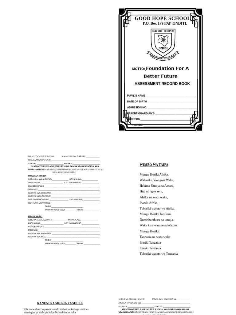 Primary Report Book | PDF