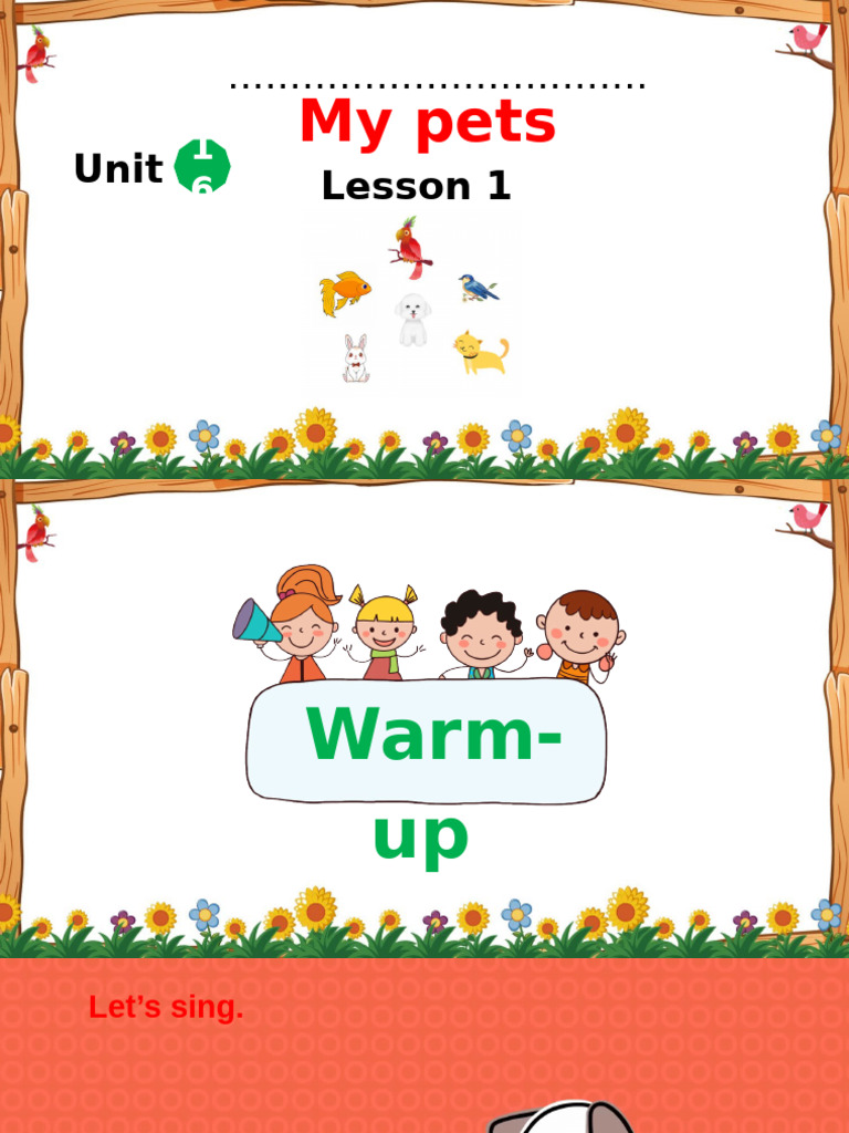 English Lesson: My Pets Vocabulary | PDF | Birds | Domestication