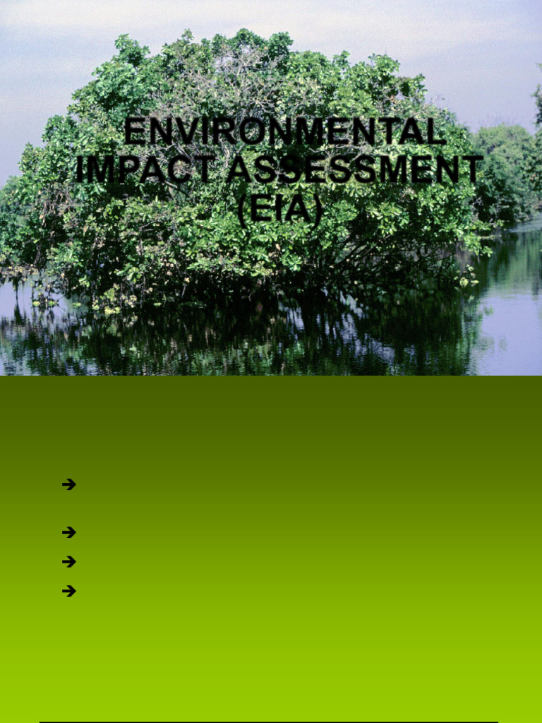 Understanding Environmental Impact Assessment | PDF | Environmental Impact Assessment | Decision ...