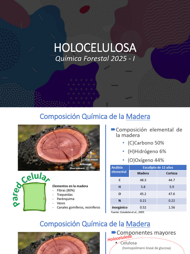 Composición Química de la Madera | PDF | Celulosa | Madera