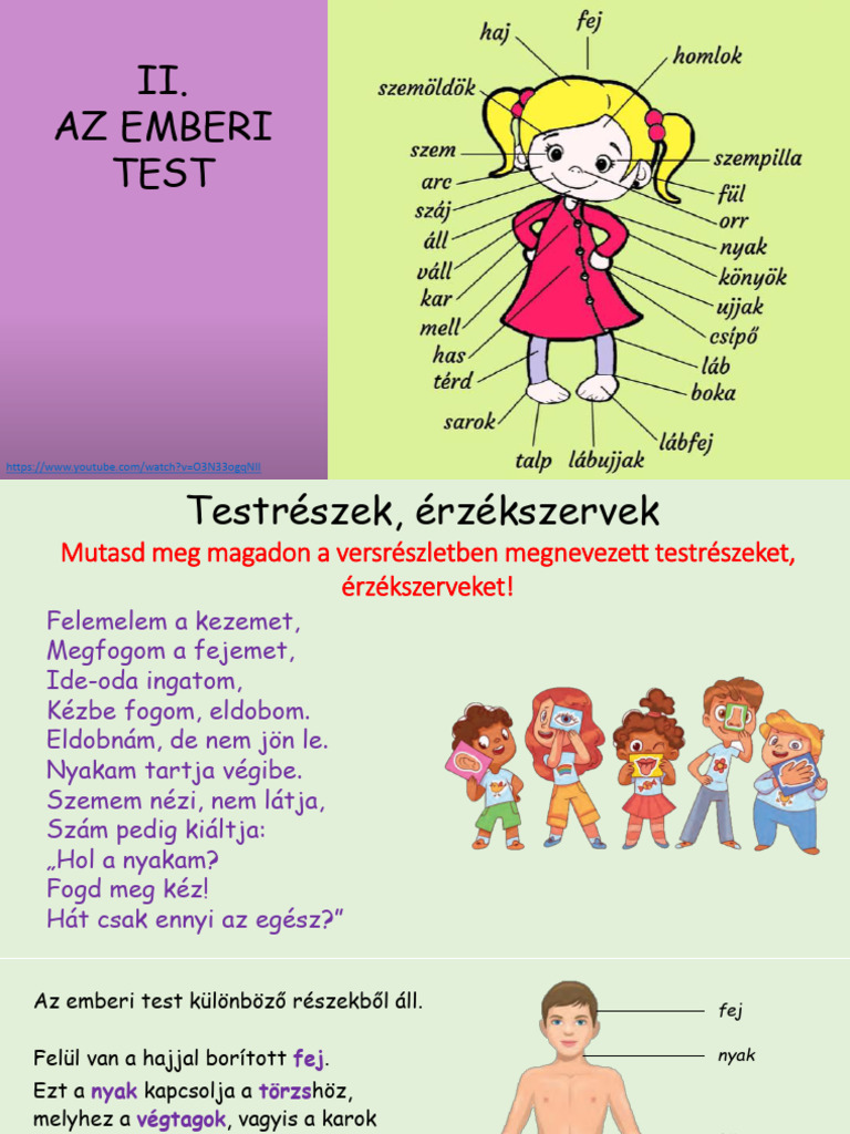 II. Az Emberi Test - Testrészek, Érzékszervek | PDF
