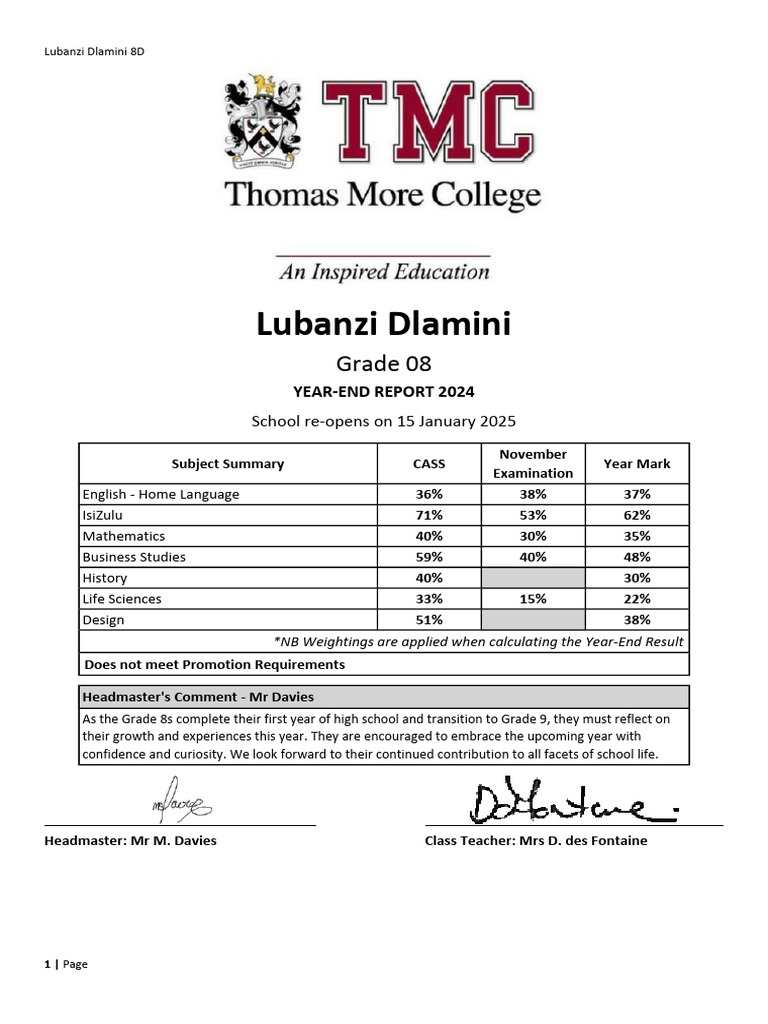 Lubanzi Dlamini Grade 8 Year-End Report | PDF | Reading Comprehension ...