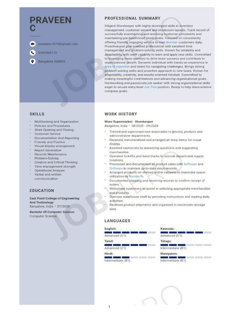 Praveen C (Resume) | PDF