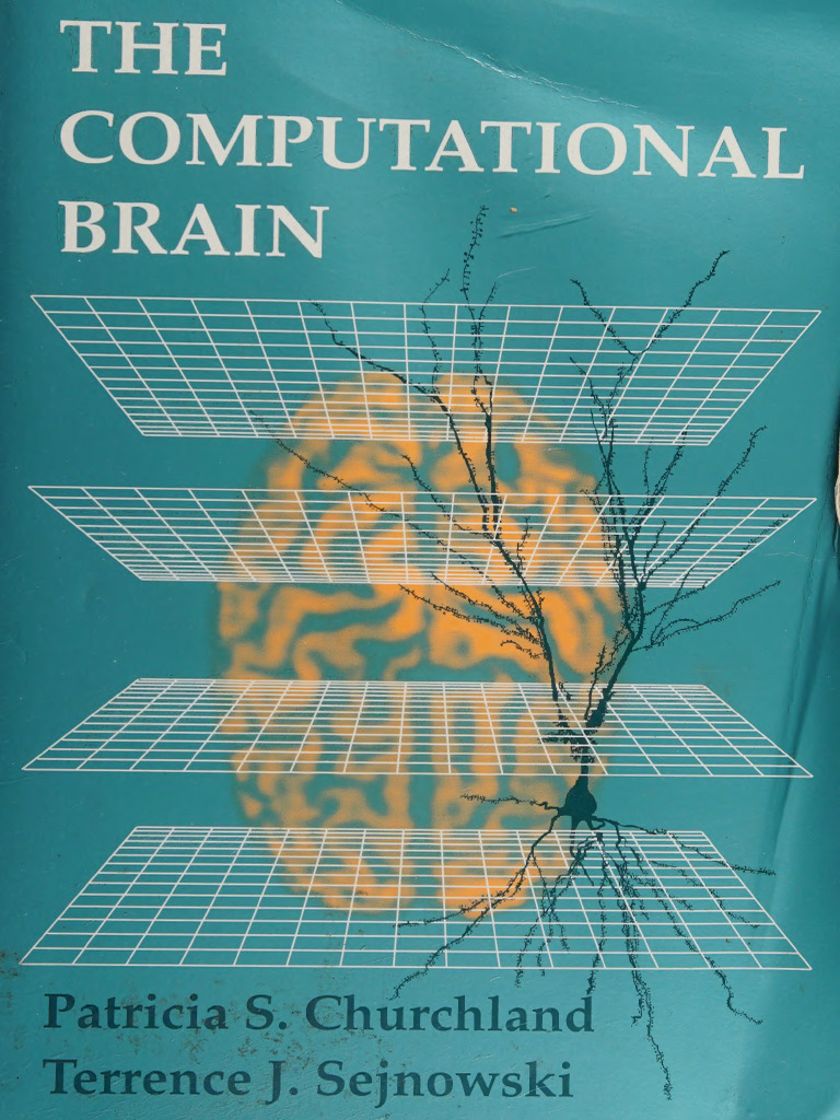 The Computational Brain | PDF | Neuroscience | Axon