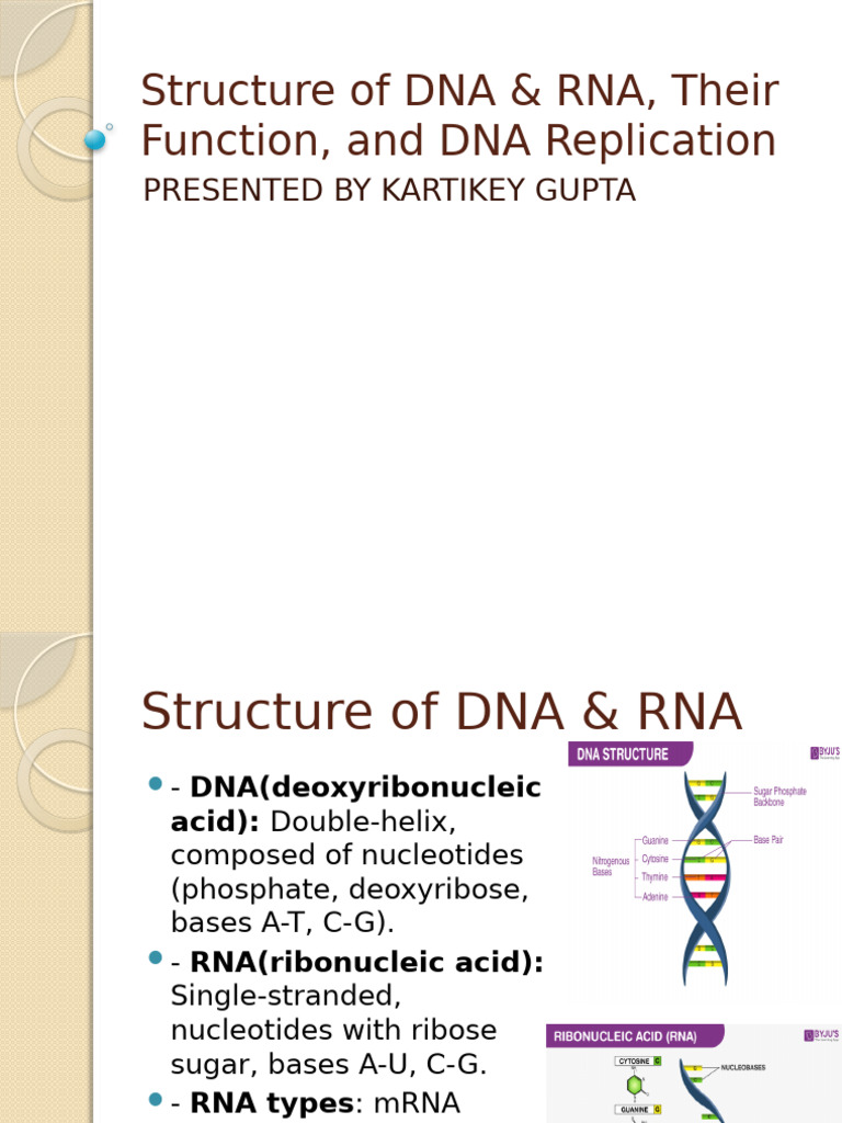 DNA_RNA_Replication_5slides | PDF
