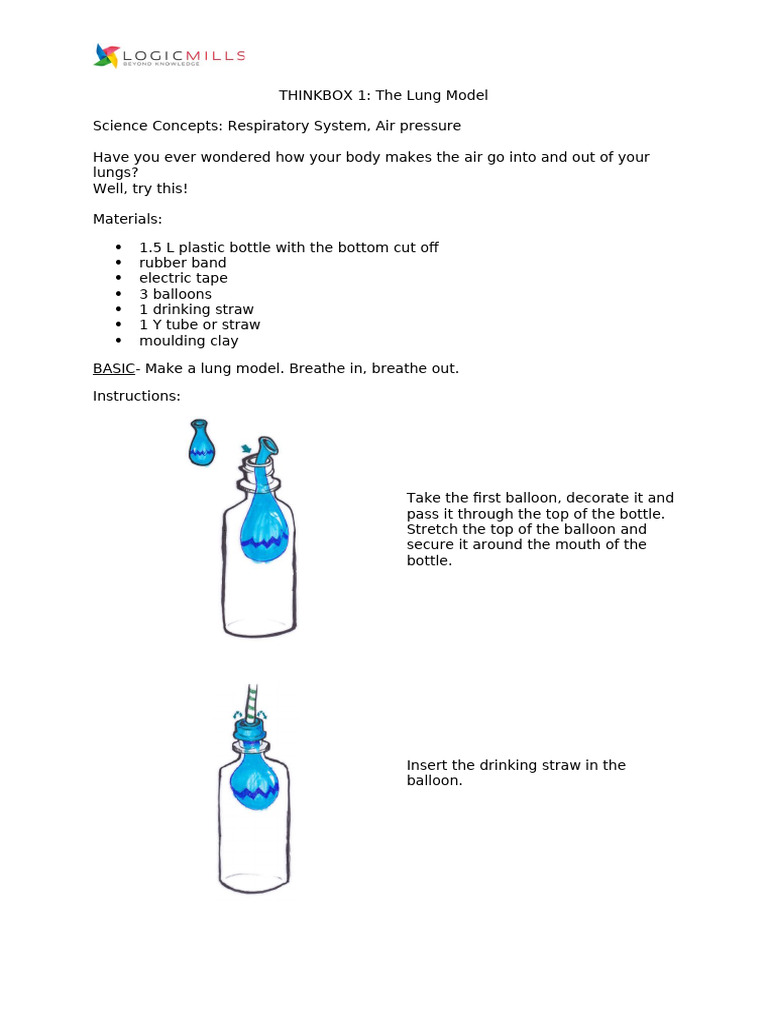 Lung Model Experiment for Kids | PDF | Balloon