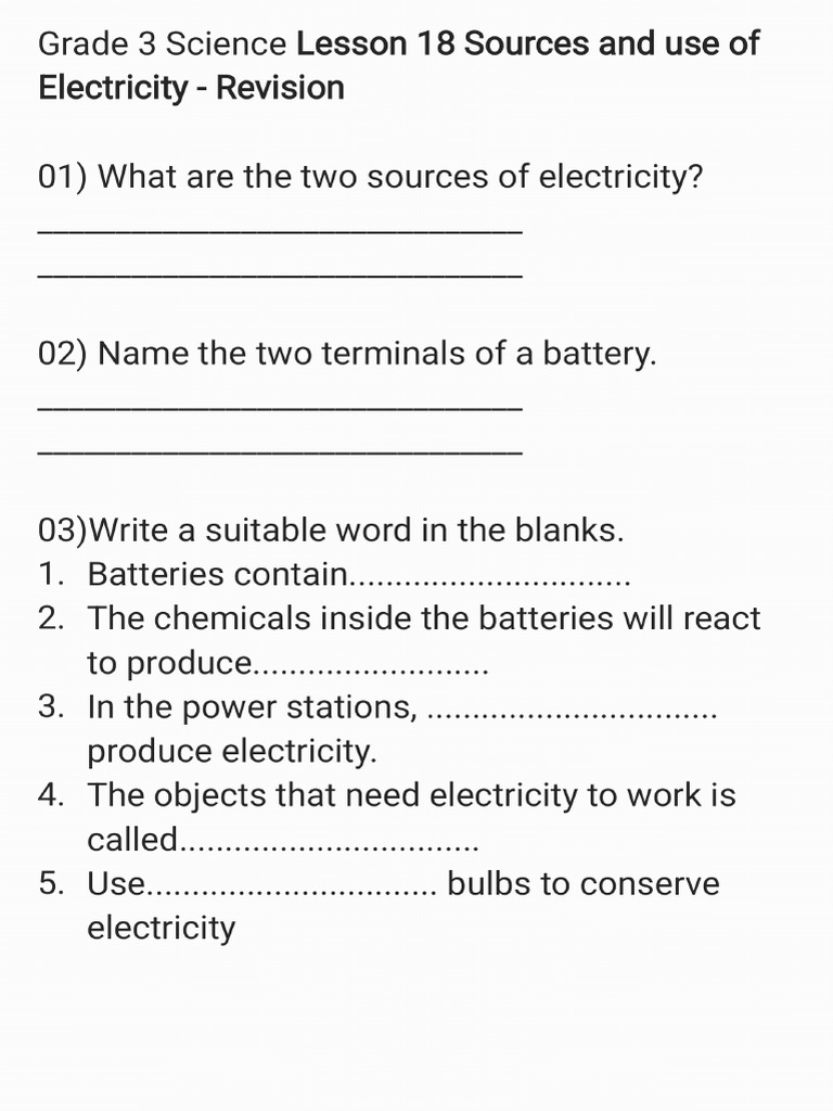 Grade 3 Science Revision | PDF
