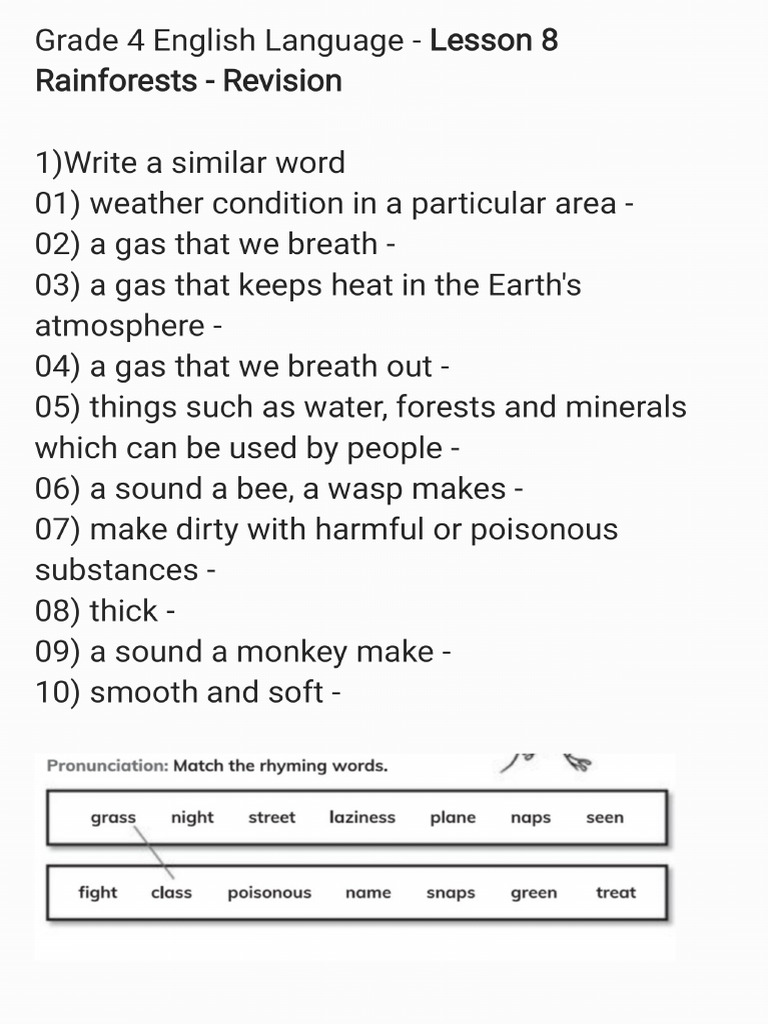 Grade 4 English Language Revision | PDF