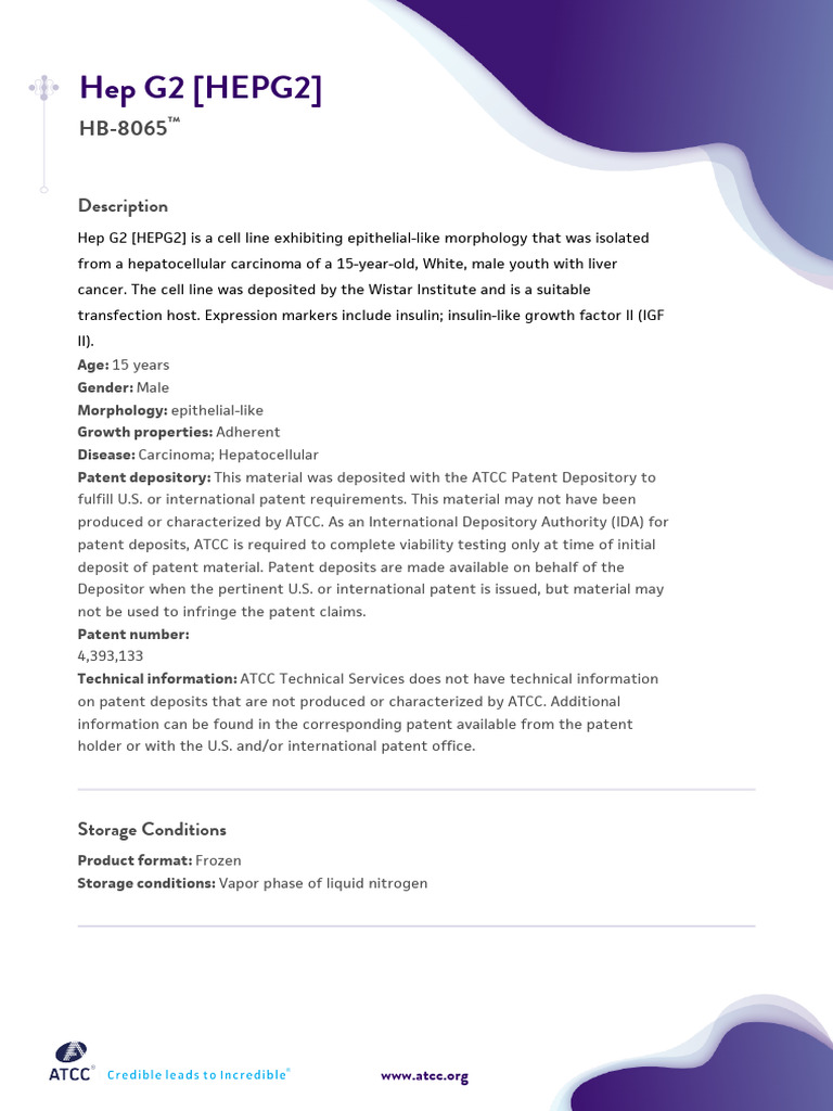 HB-8065 Product Sheet - Hep G2 (HEPG2) | PDF | Atcc (Company) | Nitrogen