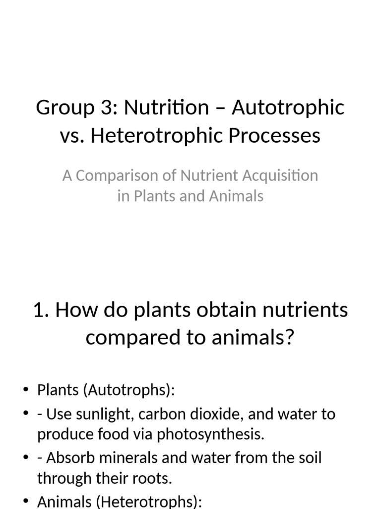 Nutrition Autotrophic Vs Heterotrophic Processes 3 | PDF