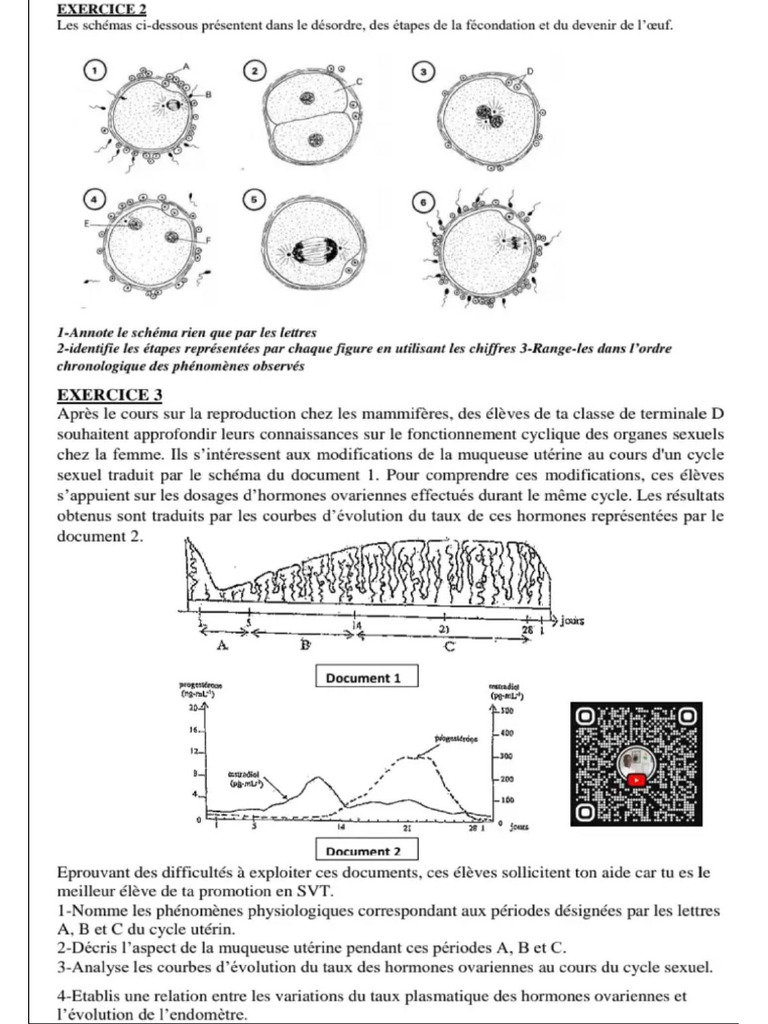 PDFReader 20250104 1126 | PDF