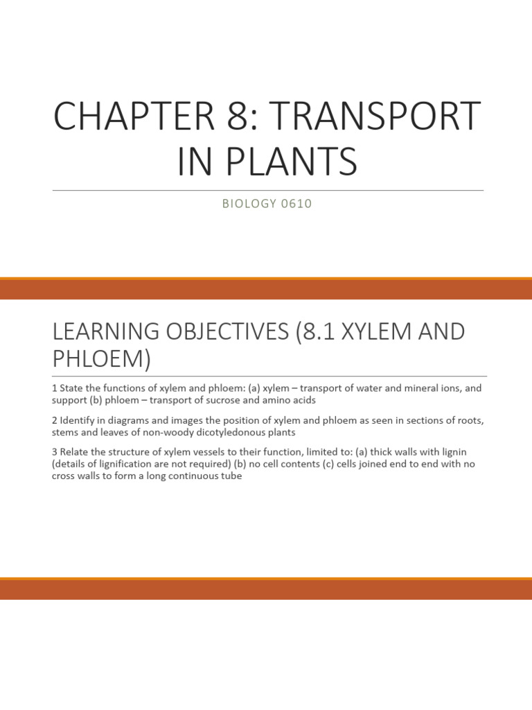 CHAPTER 8 (TRANSPORT IN PLANTS) | PDF | Plant Stem | Root