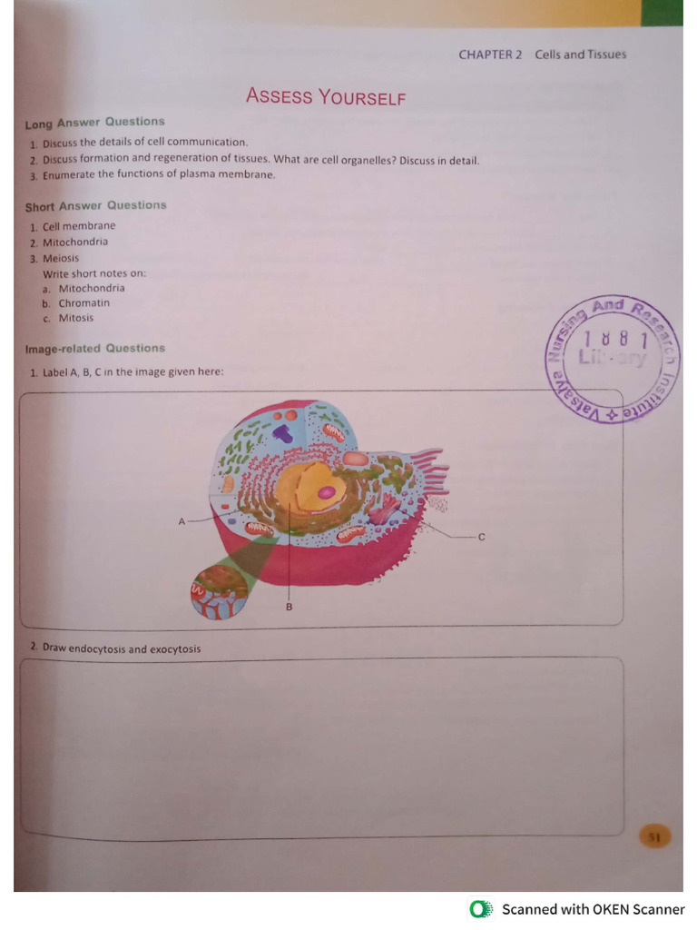BD Chaurasia .... Anatomy and Physiology Question ..... | PDF