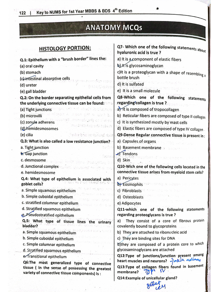 Anatomy MCQ Key To Nums | PDF